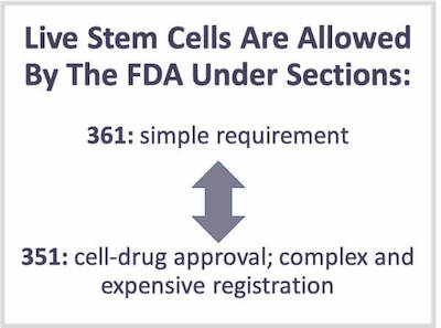 About Cord Blood and Amniotic Products | Boston Applied Biologics