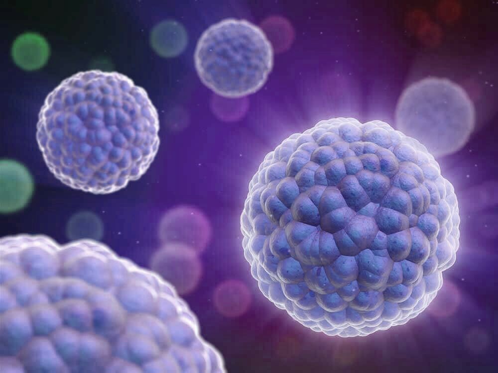 Orthobiologic Cell Banking for Adults- Store your own cells for future use