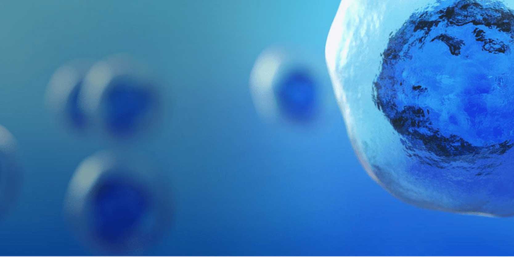 Regenerative Cell Therapy - Boston Applied Biologics